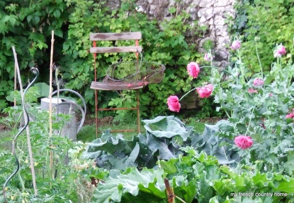 dans mon jardin - MY FRENCH COUNTRY HOME