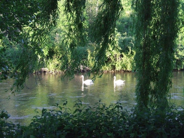 a dreamy french riverside home for sale - MY FRENCH COUNTRY HOME