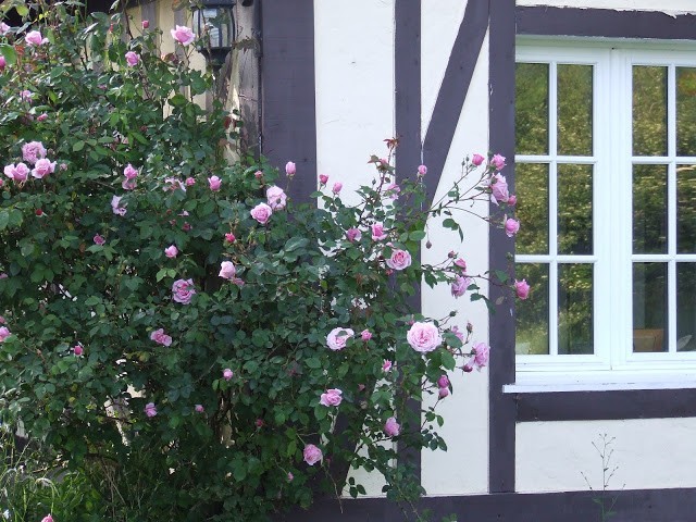 a dreamy french riverside home for sale - MY FRENCH COUNTRY HOME