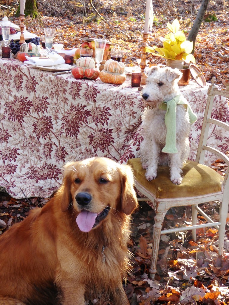 a thanksgiving table - and an extreme photo shoot - MY FRENCH COUNTRY HOME