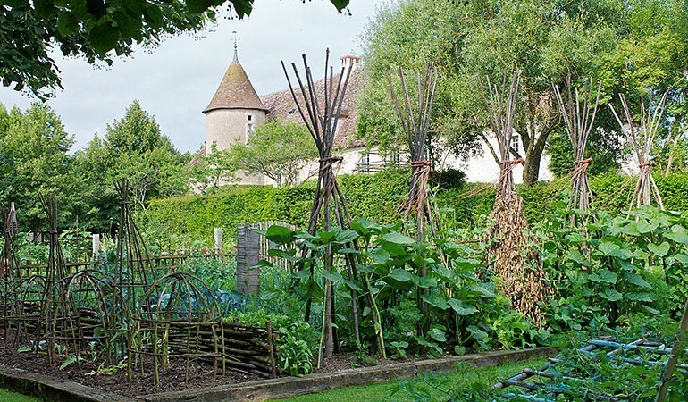 the French potager - and why I'll never make the grade! - MY FRENCH ...