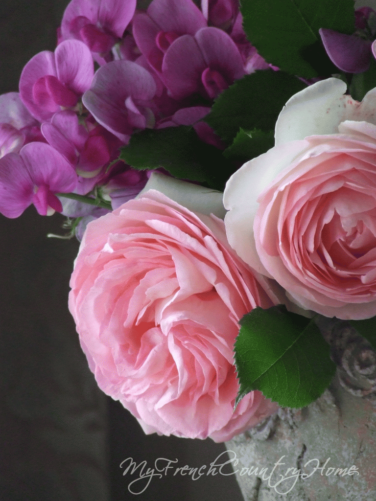 the charm of old french roses - MY FRENCH COUNTRY HOME