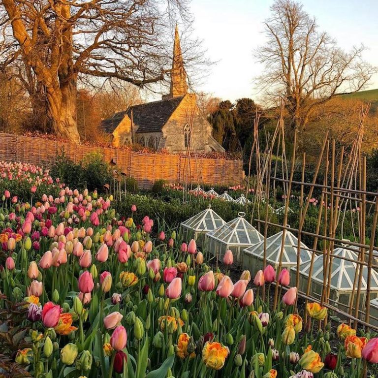 gardening instagrams to follow - MY FRENCH COUNTRY HOME